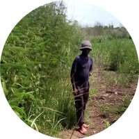 EDN152 circle 2 | ECHOcommunity.org